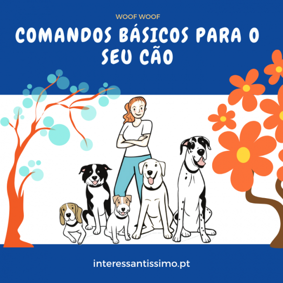 7 Comandos Básicos Que Todos os Cães Devem Saber - Jornal-E